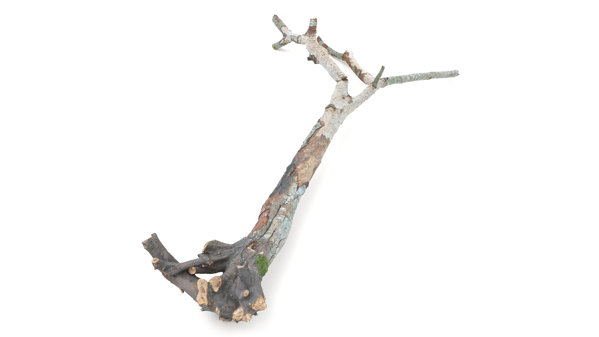 Tree broken withered roots 3D model - TurboSquid 1485759