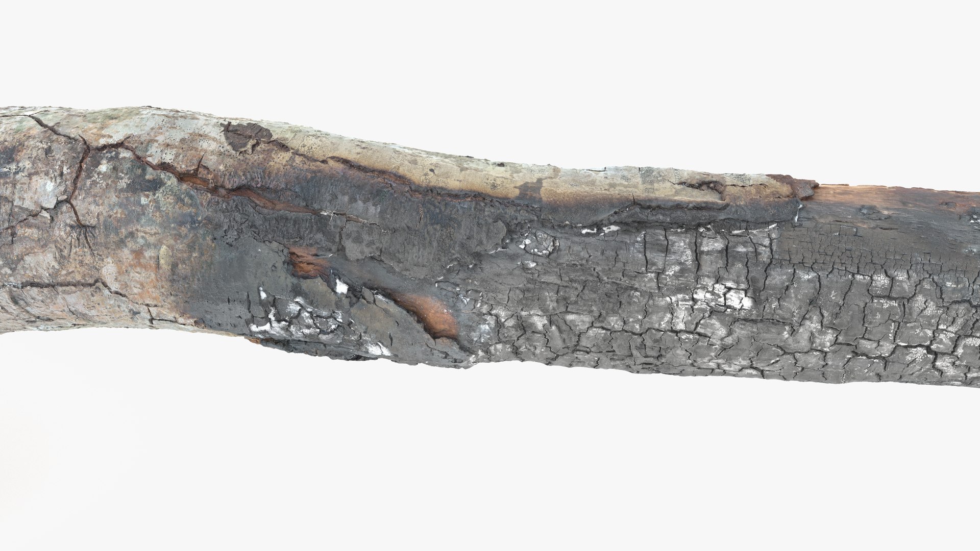 Tree broken withered roots 3D model - TurboSquid 1485759