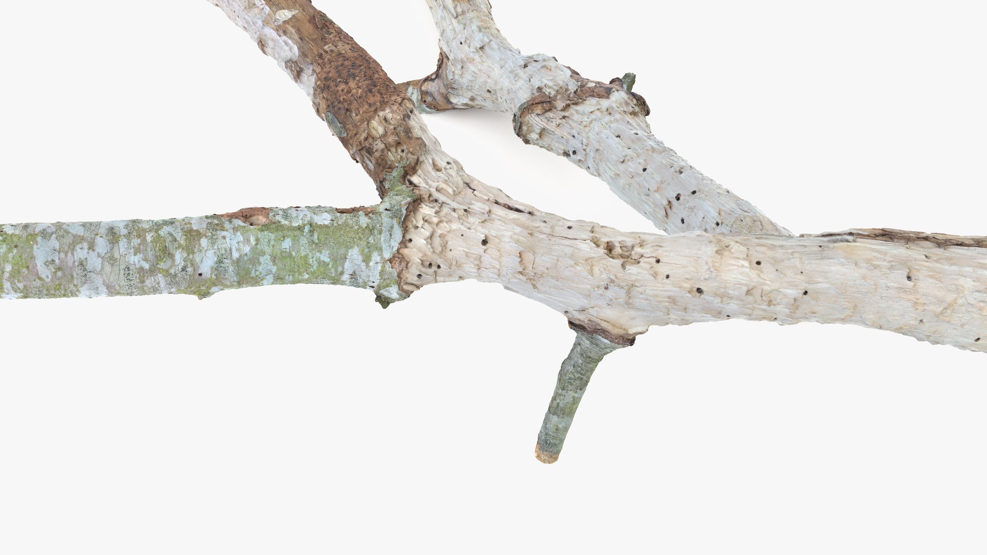 Tree broken withered roots 3D model - TurboSquid 1485759