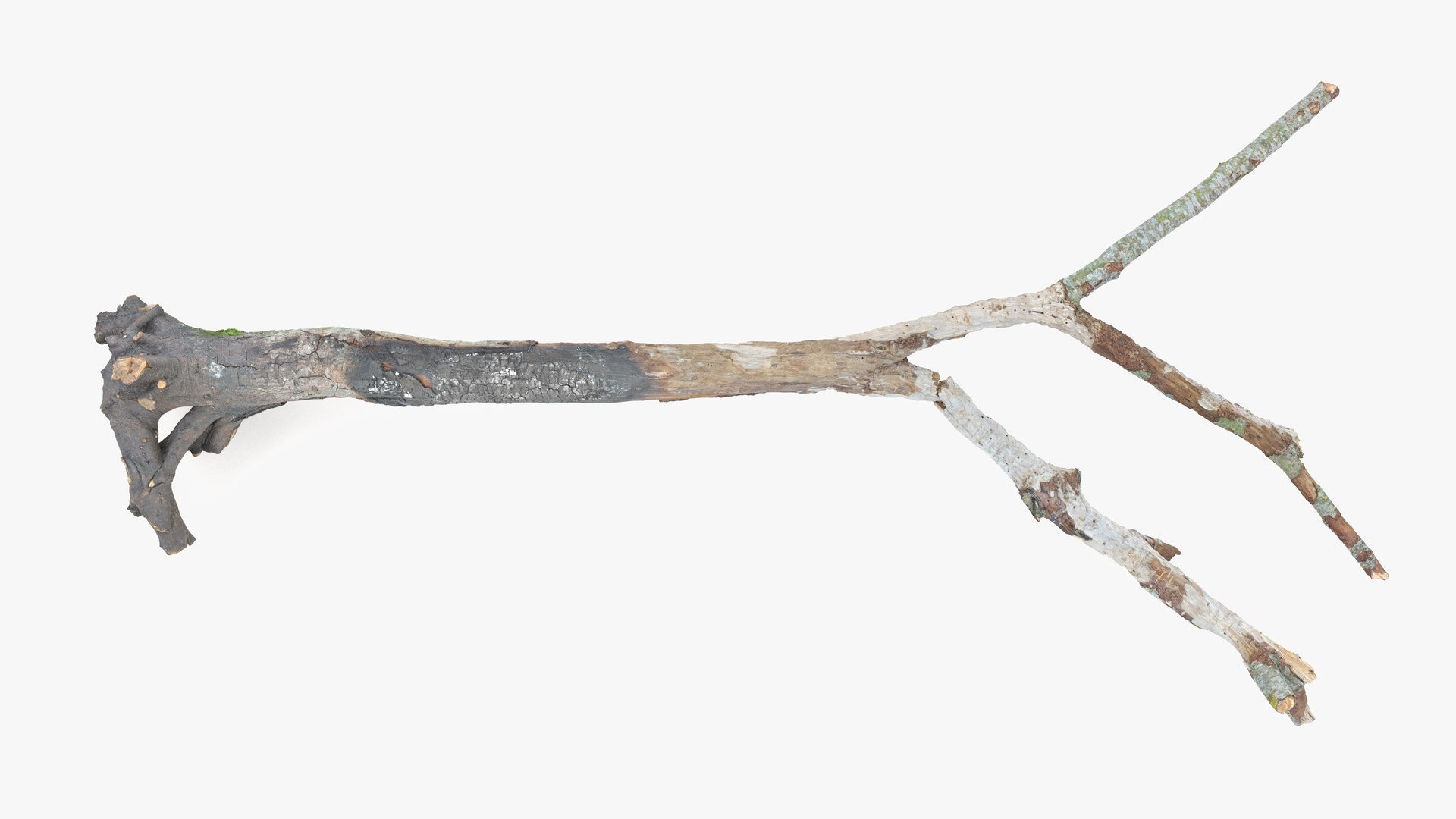 Tree broken withered roots 3D model - TurboSquid 1485759