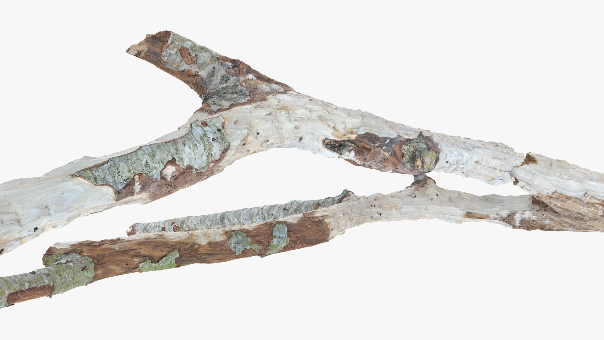 Tree broken withered roots 3D model - TurboSquid 1485759