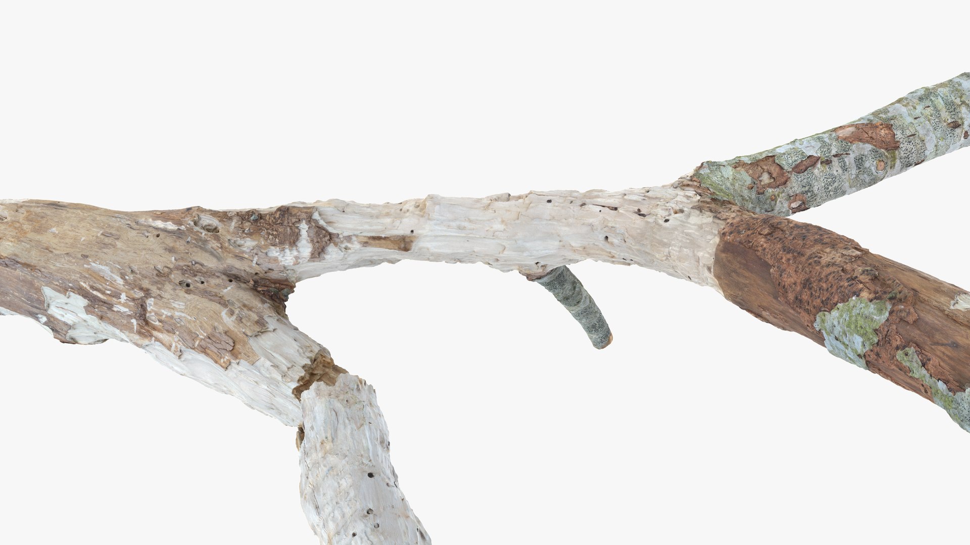 Tree broken withered roots 3D model - TurboSquid 1485759