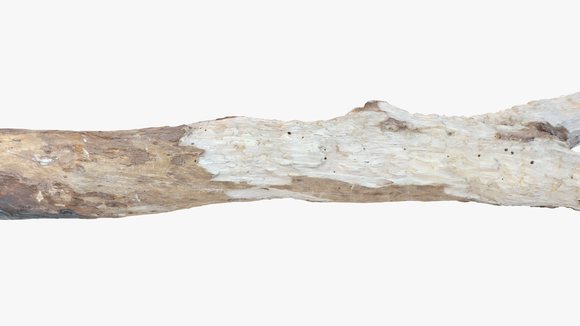 Tree broken withered roots 3D model - TurboSquid 1485759