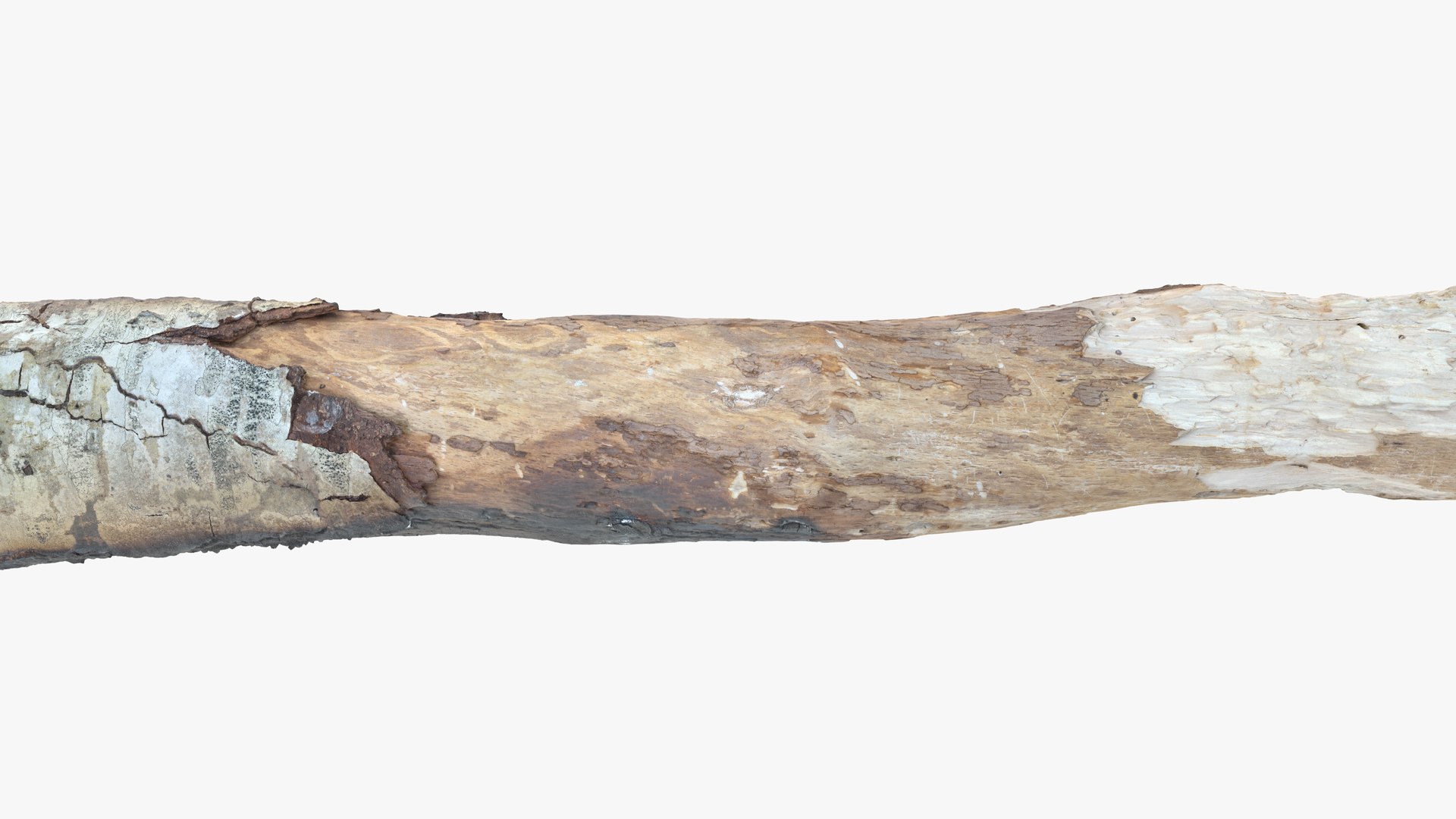 Tree broken withered roots 3D model - TurboSquid 1485759