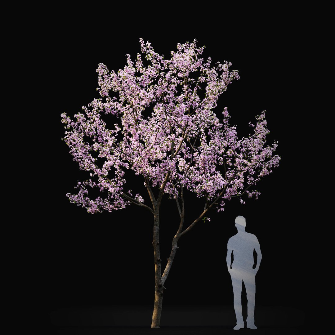 Pack Trees Bushes 1 Model - TurboSquid 1521992