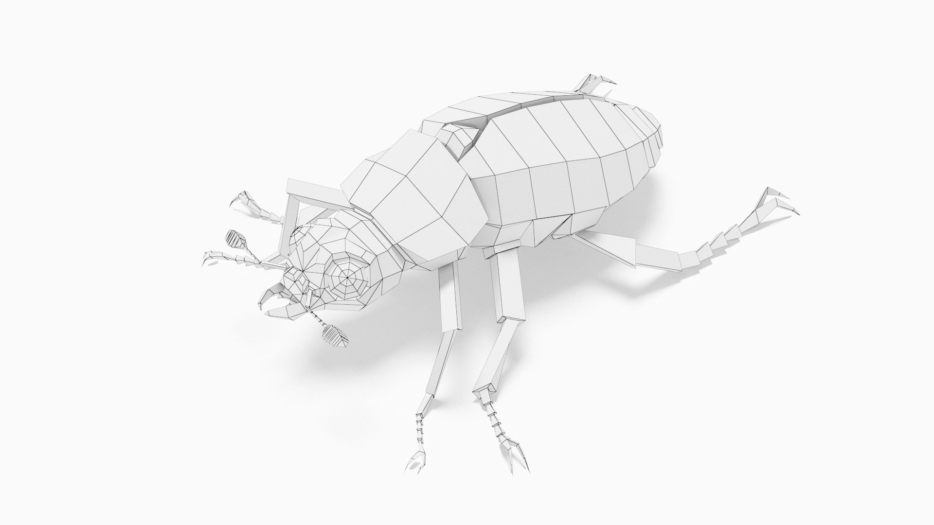 Bug 3D - TurboSquid 1941342