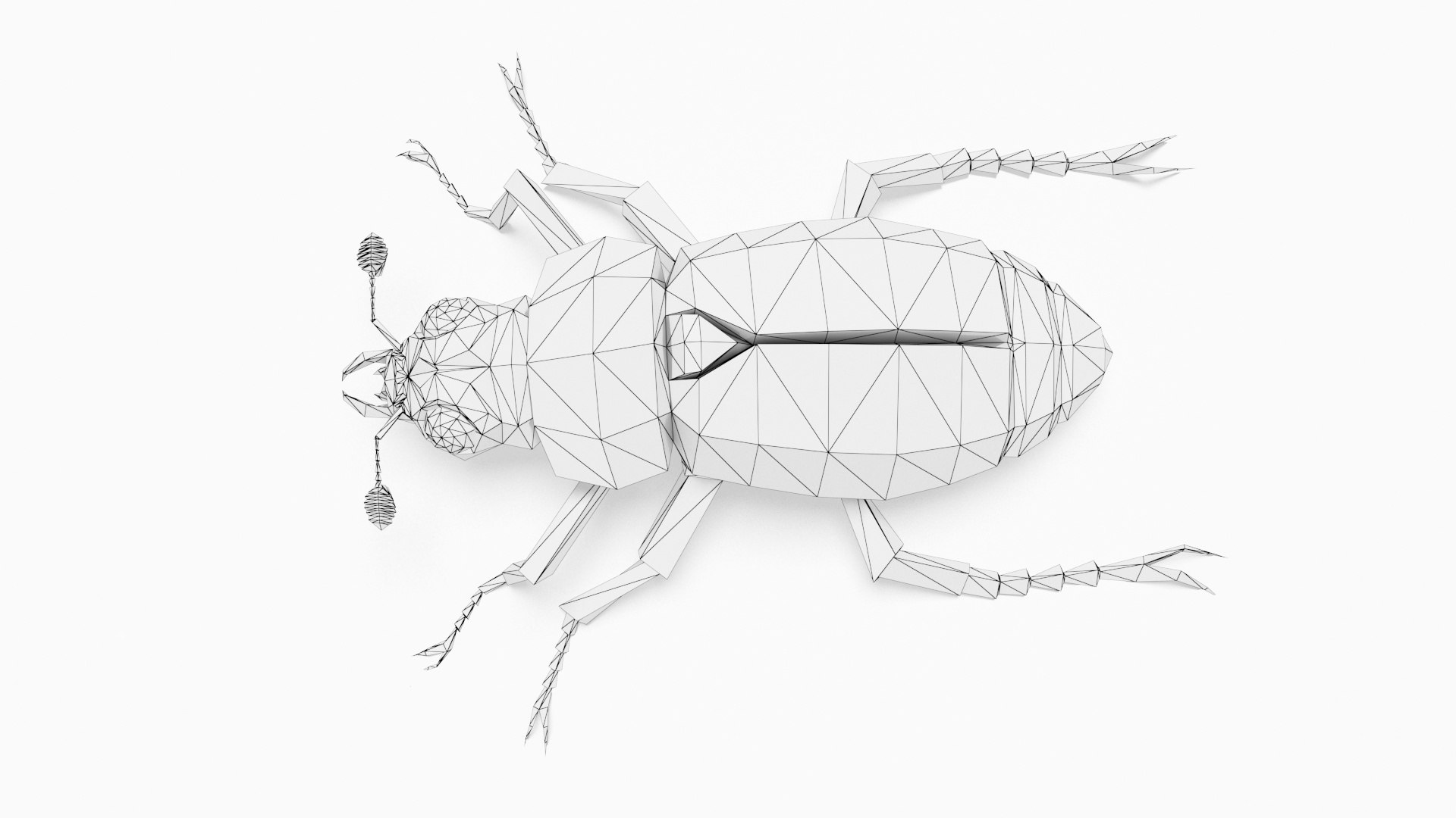 Bug 3D - TurboSquid 1941342