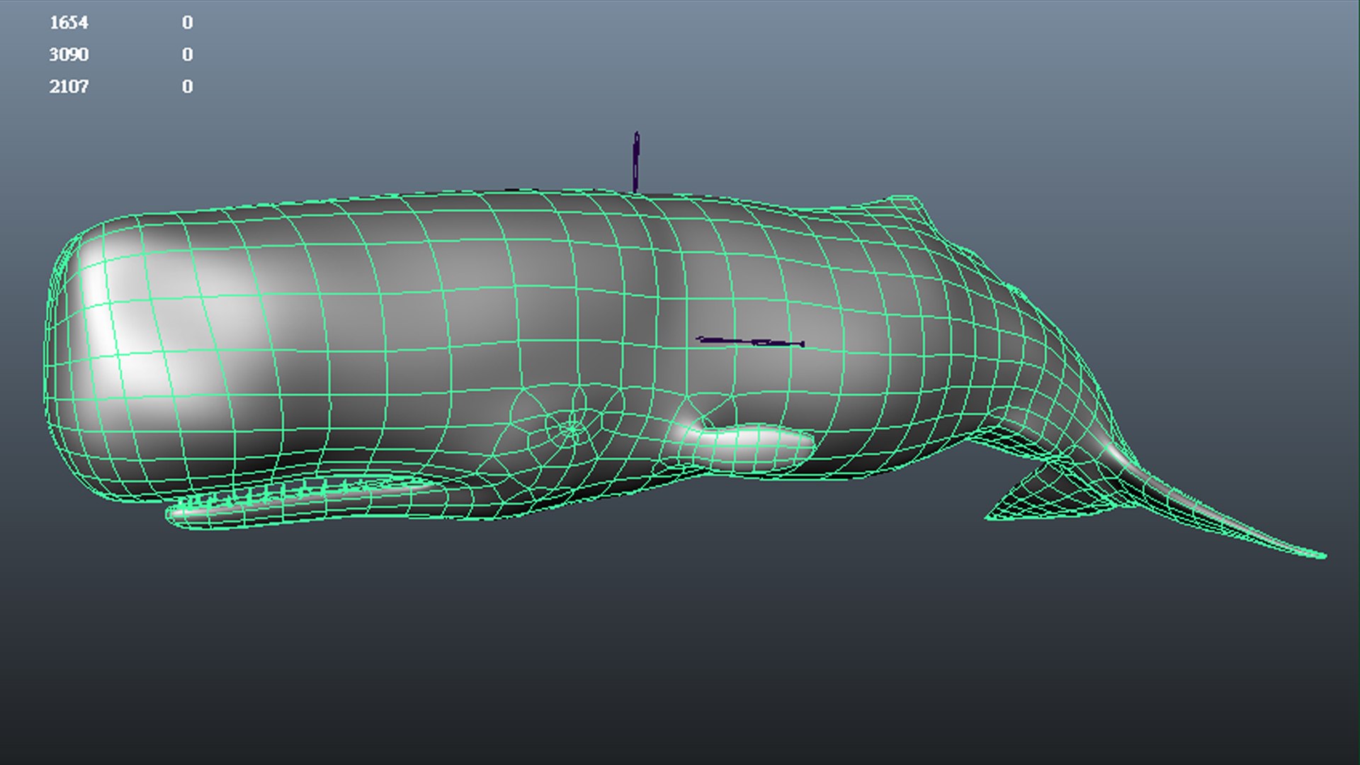 3D Model Sperm Whale - TurboSquid 2191442
