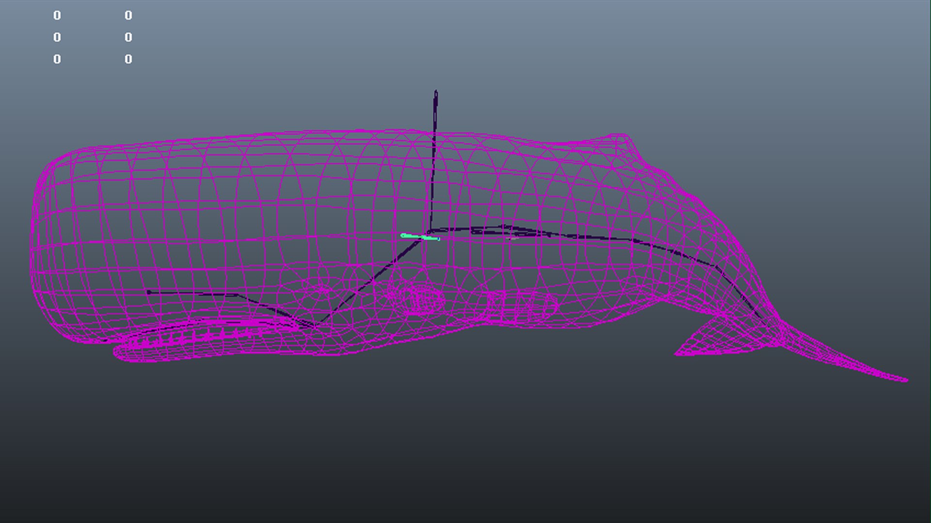 3D Model Sperm Whale - TurboSquid 2191442