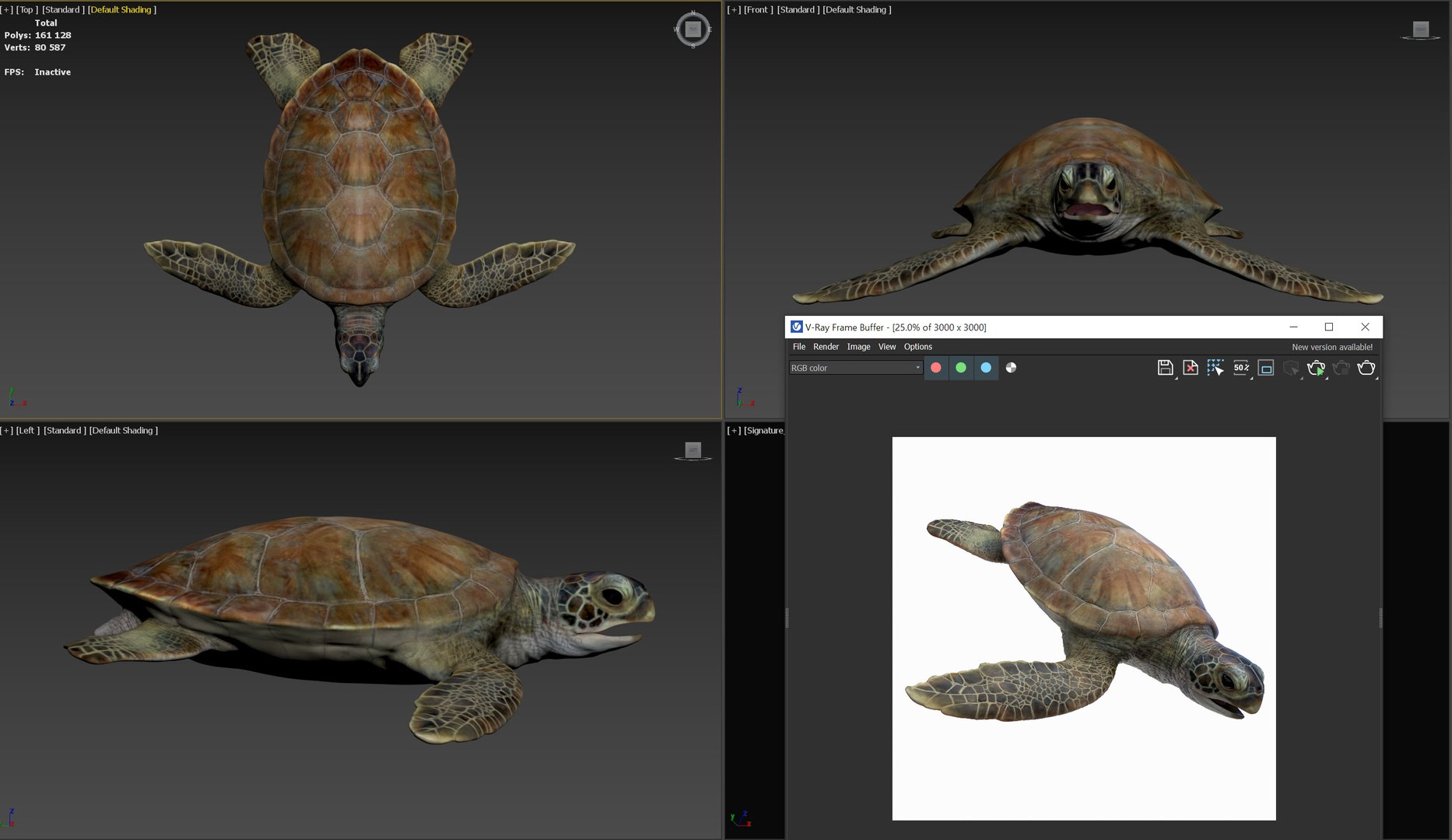 Green Sea Turtle Model - TurboSquid 2006079