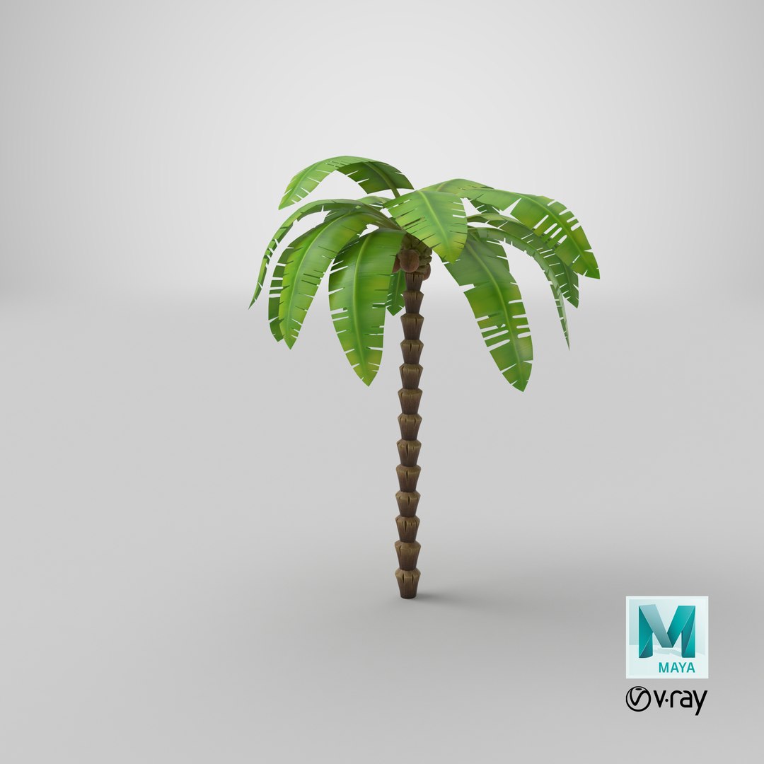 Cartoon Palm Tree Model - TurboSquid 2110923