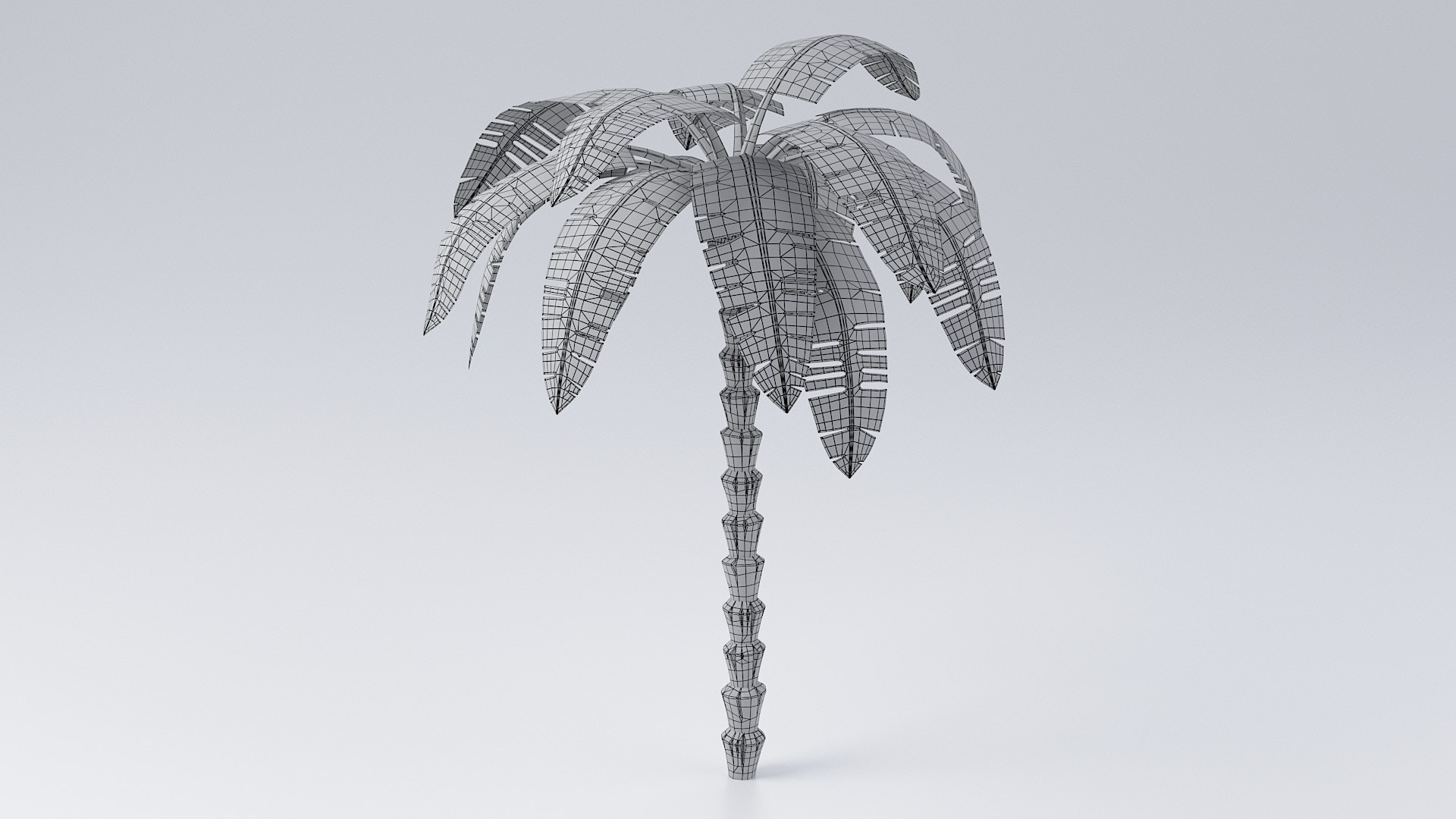Cartoon Palm Tree Model - TurboSquid 2110923