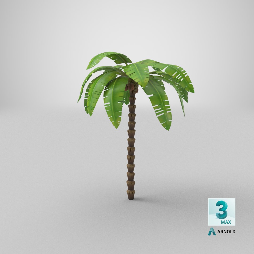Cartoon Palm Tree Model - TurboSquid 2110923