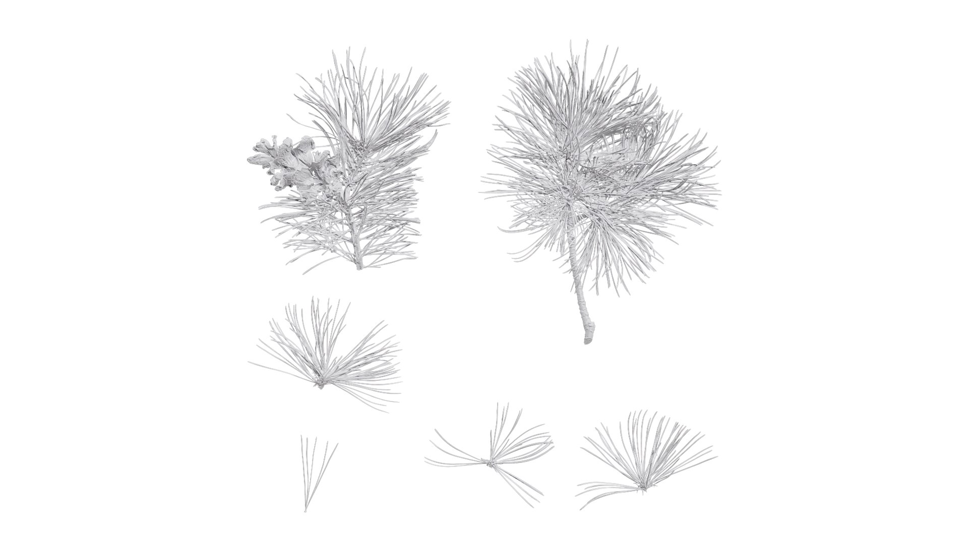 3D Pine Tree Pack Model - TurboSquid 2315138