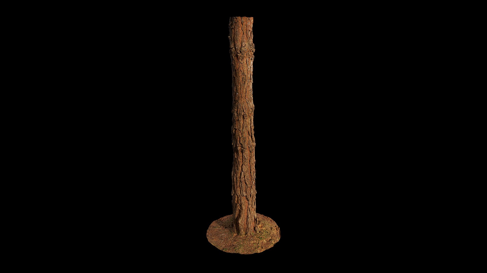3D Pine Tree Pack Model - TurboSquid 2315138
