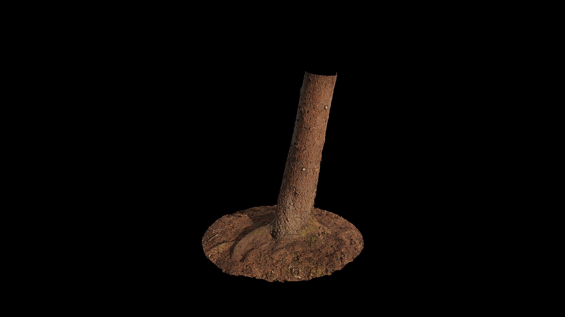 3D Pine Tree Pack Model - TurboSquid 2315138