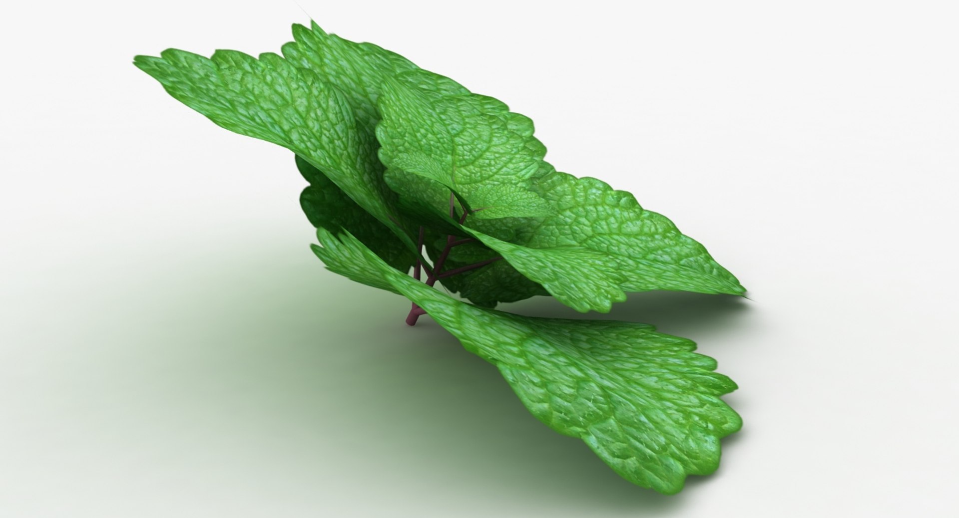 Mint Scanline Ready 3D Model - TurboSquid 1244381