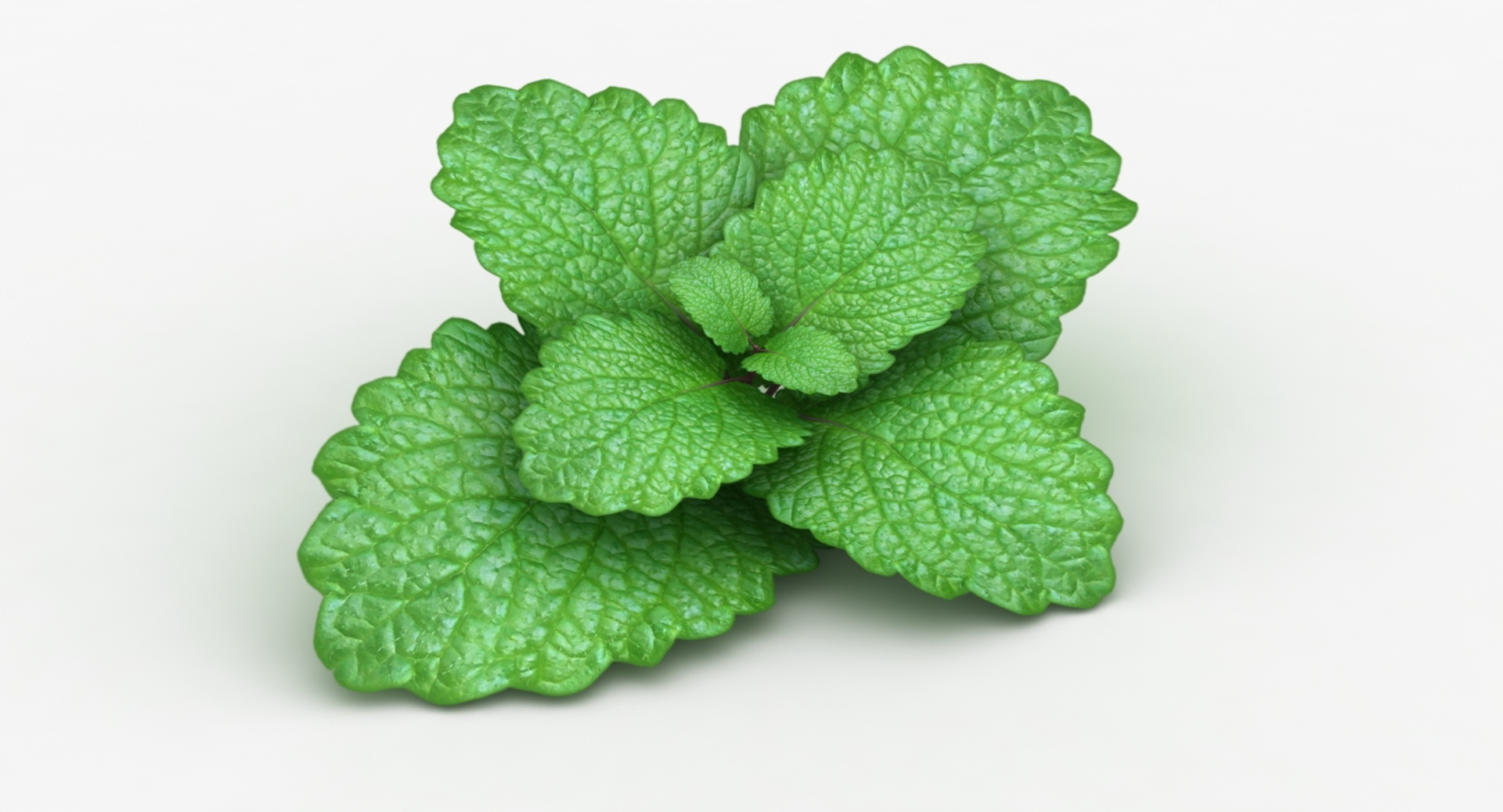 Mint Scanline Ready 3D Model - TurboSquid 1244381