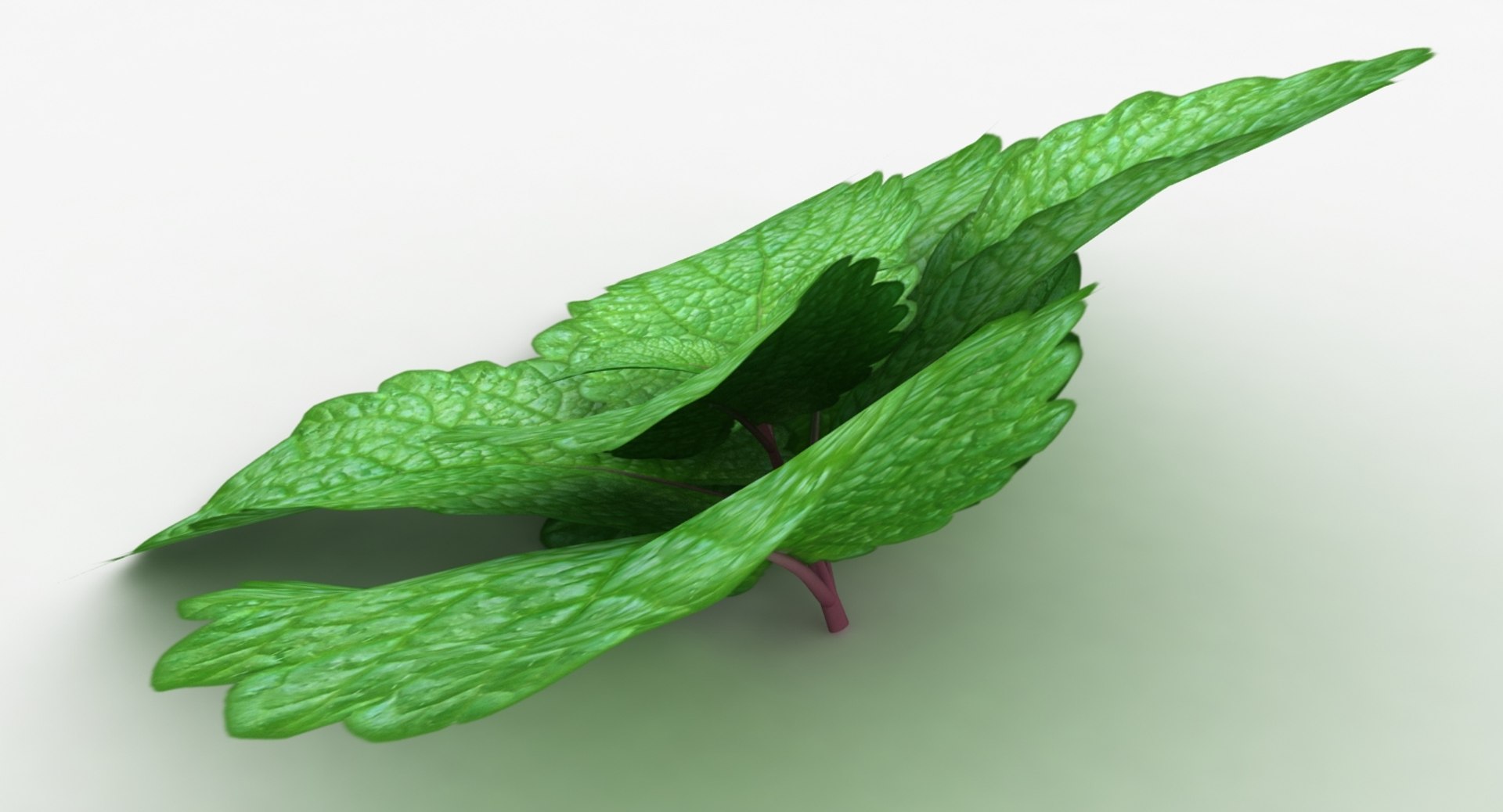 Mint Scanline Ready 3D Model - TurboSquid 1244381