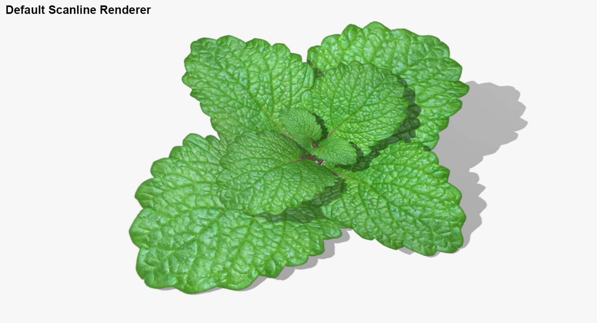 Mint scanline ready 3D model - TurboSquid 1244381