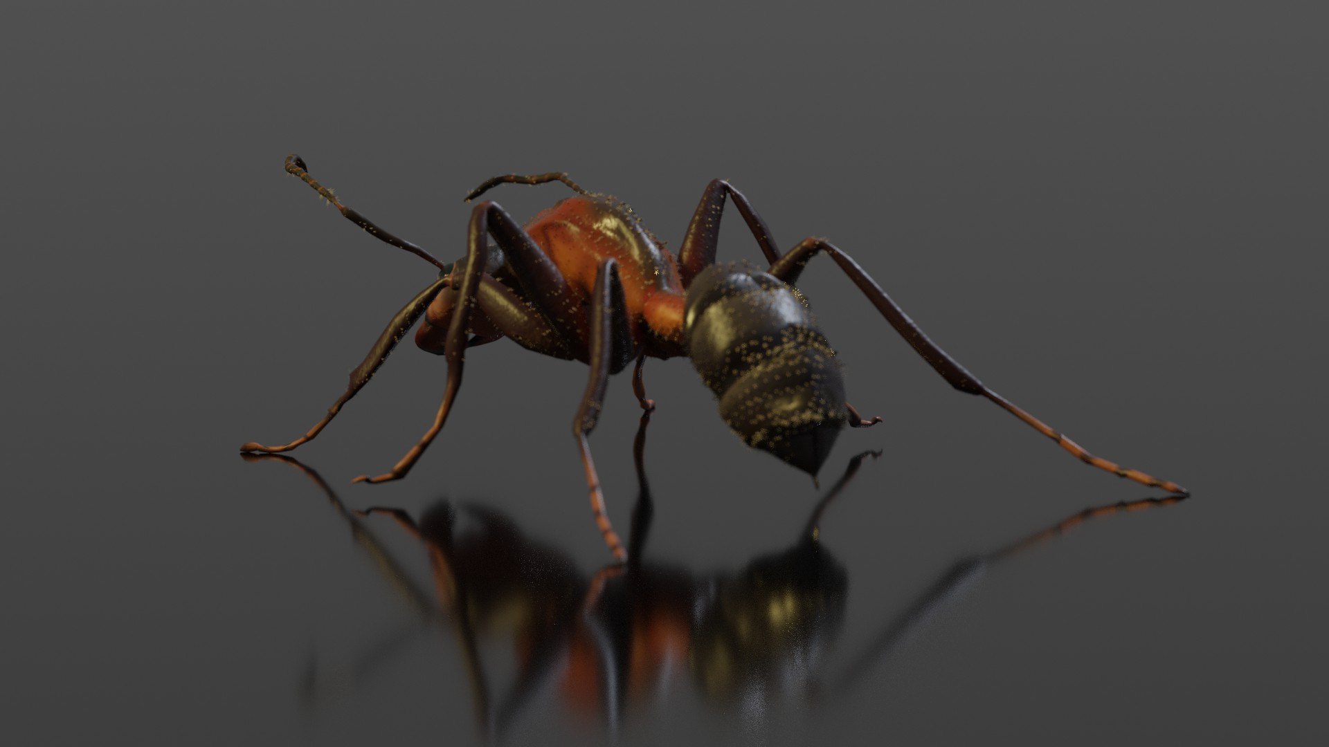 3D Realistic Ant Model - TurboSquid 2502806