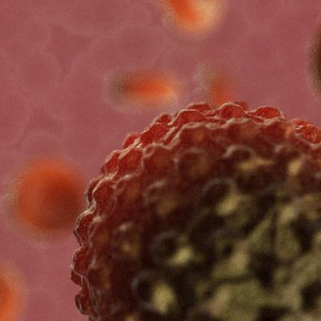 3d Herpes Simplex Model