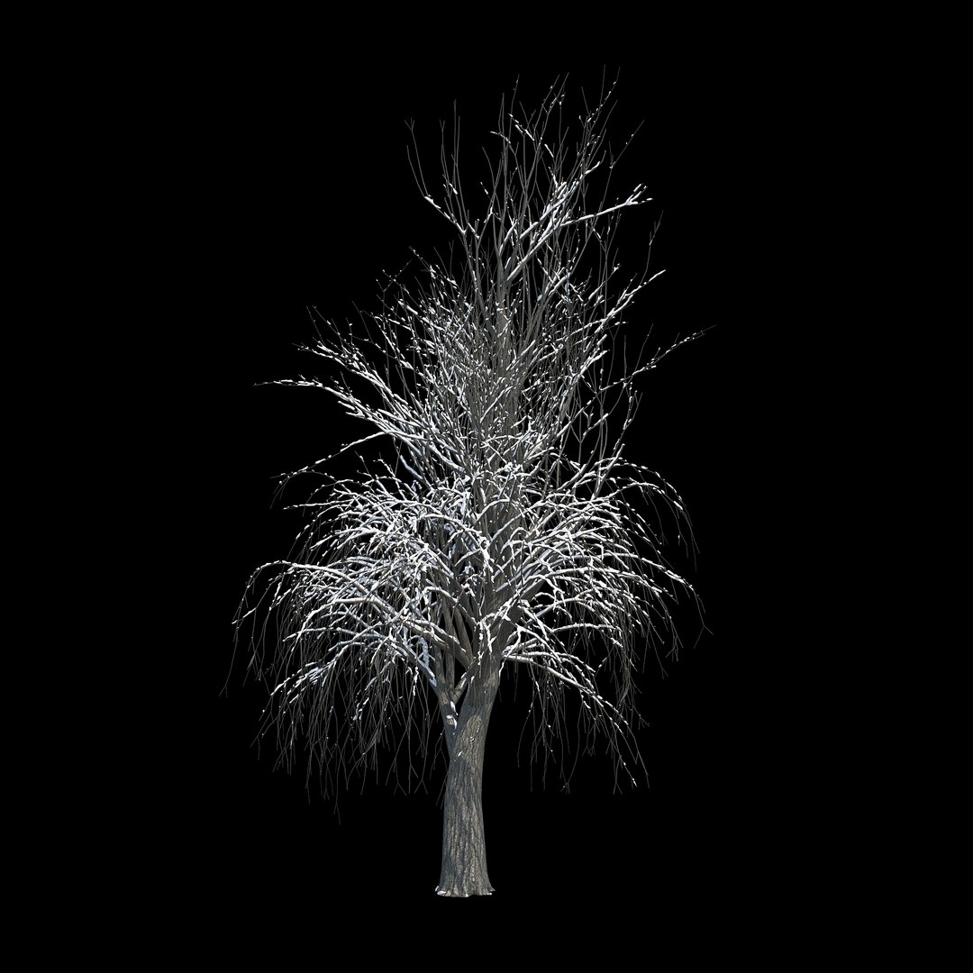 3D Winter Tree 029 Snow Model - TurboSquid 1235494