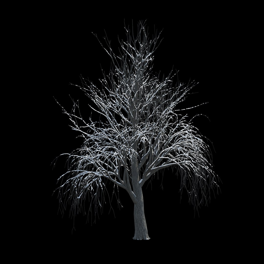 3D Winter Tree 029 Snow Model - TurboSquid 1235494