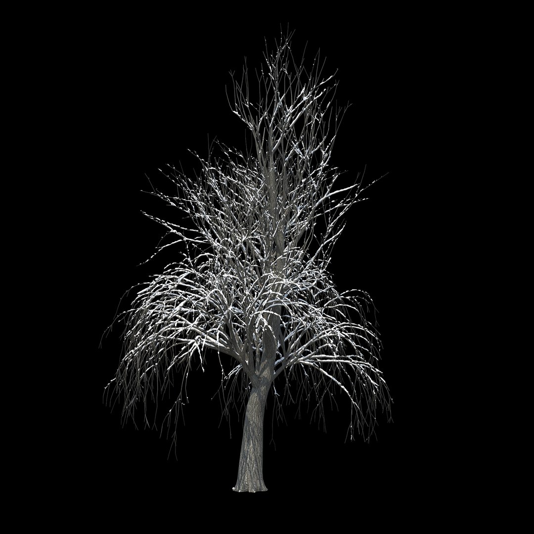 3D Winter Tree 029 Snow Model - TurboSquid 1235494
