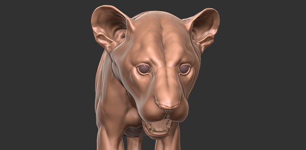 Lion Cub Primary Forms Zbrush Sculpt 3D - TurboSquid 1820009