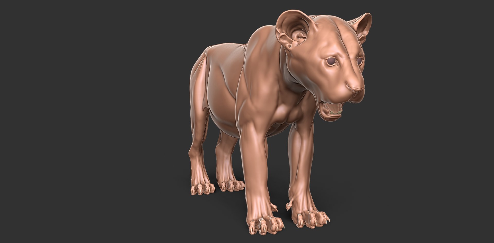 Lion Cub Primary Forms Zbrush Sculpt 3D - TurboSquid 1820009