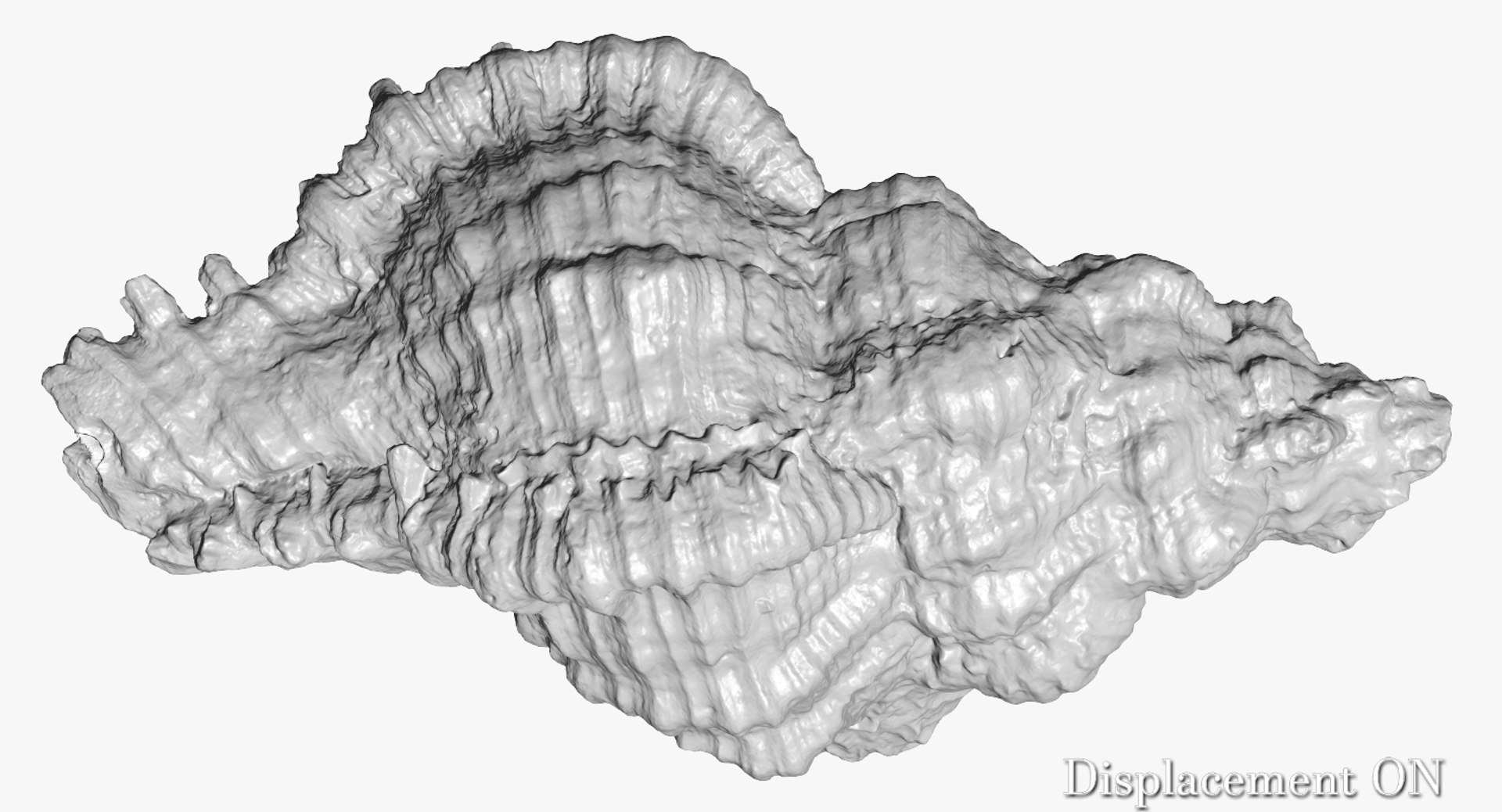 Sea Shell 3D | 1144781 | TurboSquid