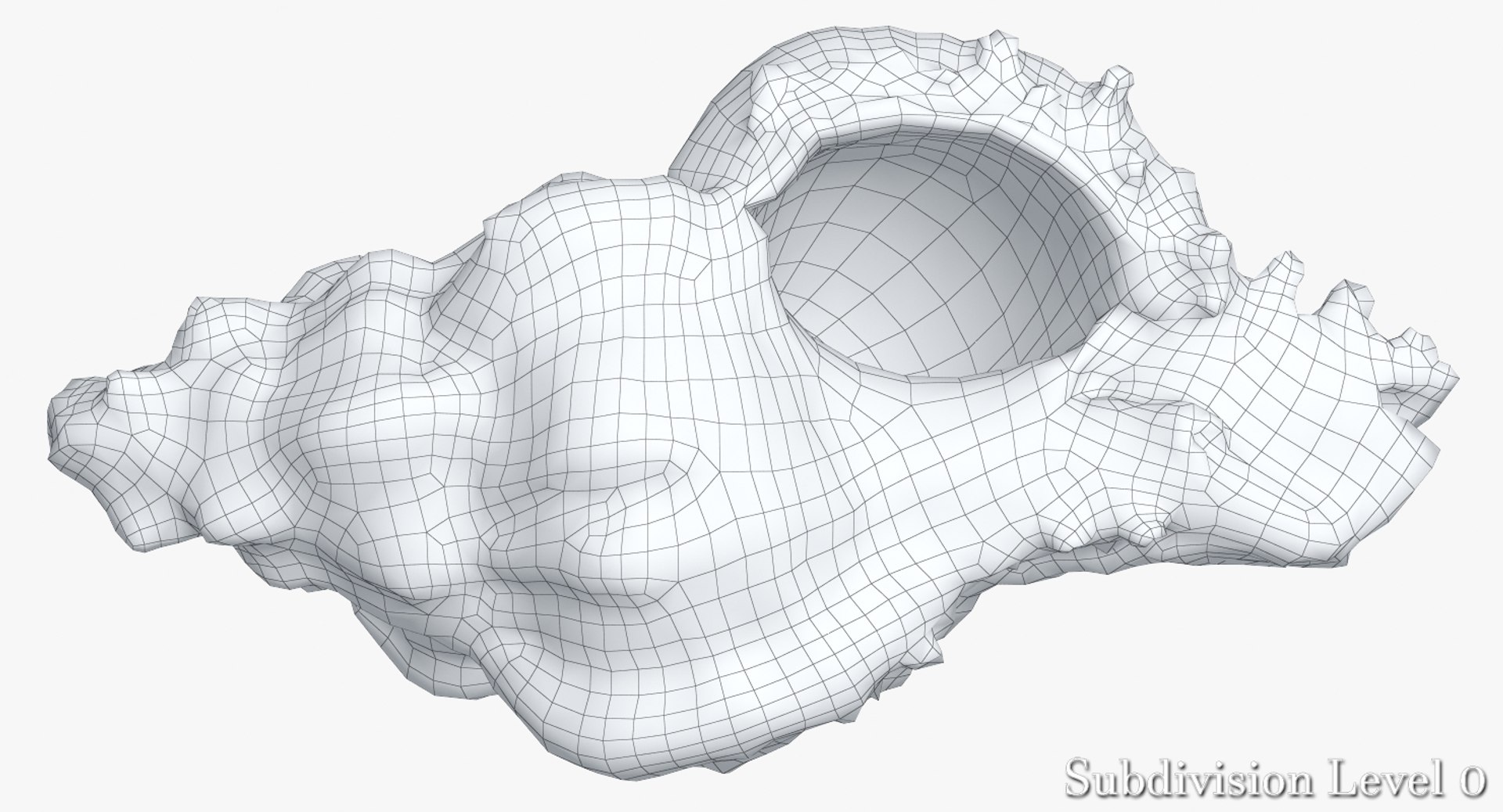 Sea shell 3D | 1144781 | TurboSquid