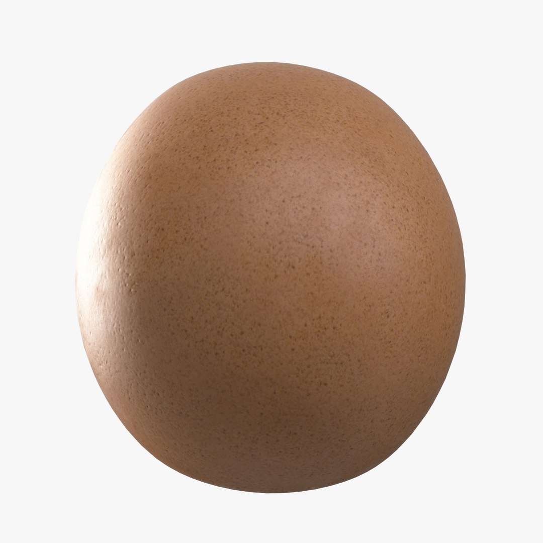3d model of chicken egg