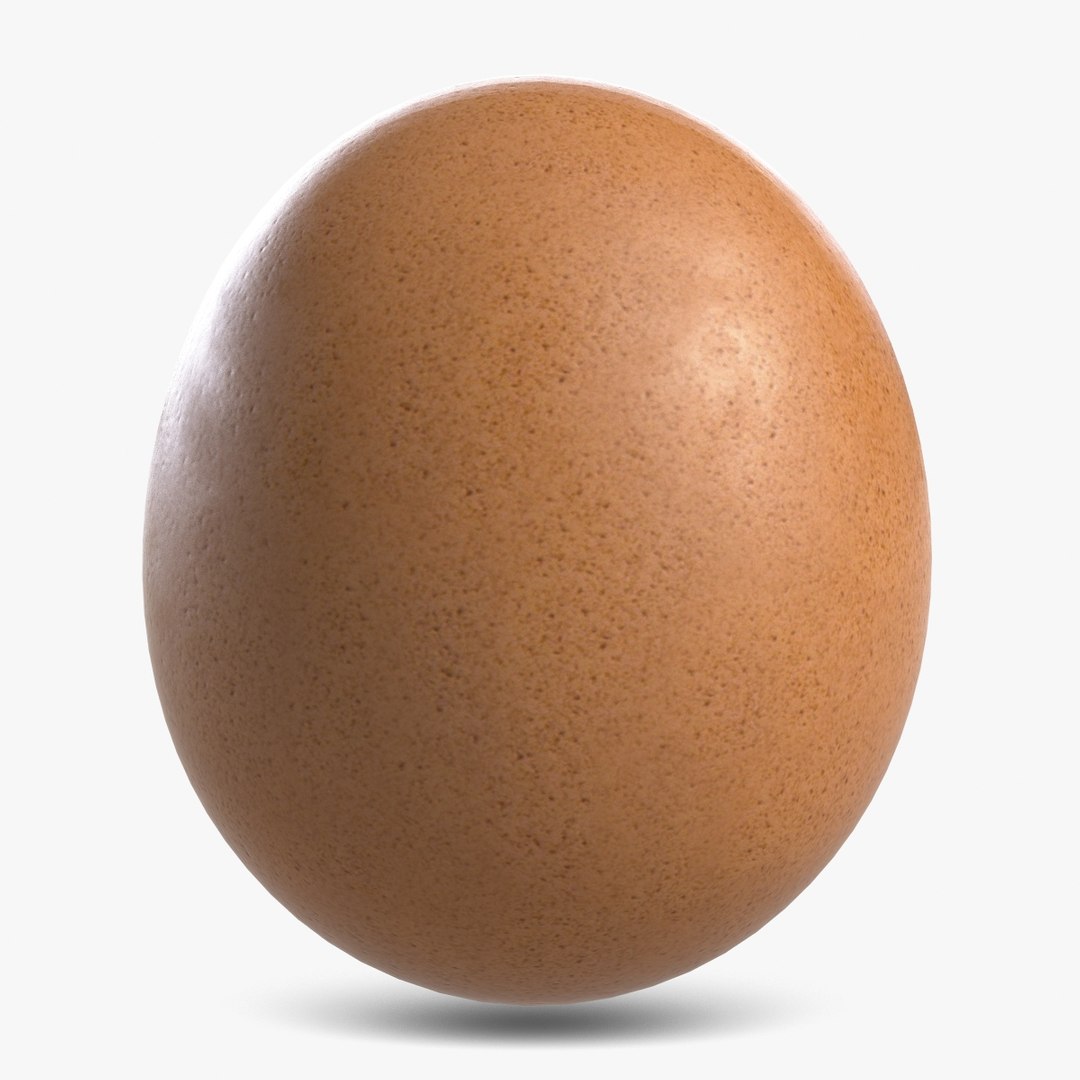 3d model of chicken egg