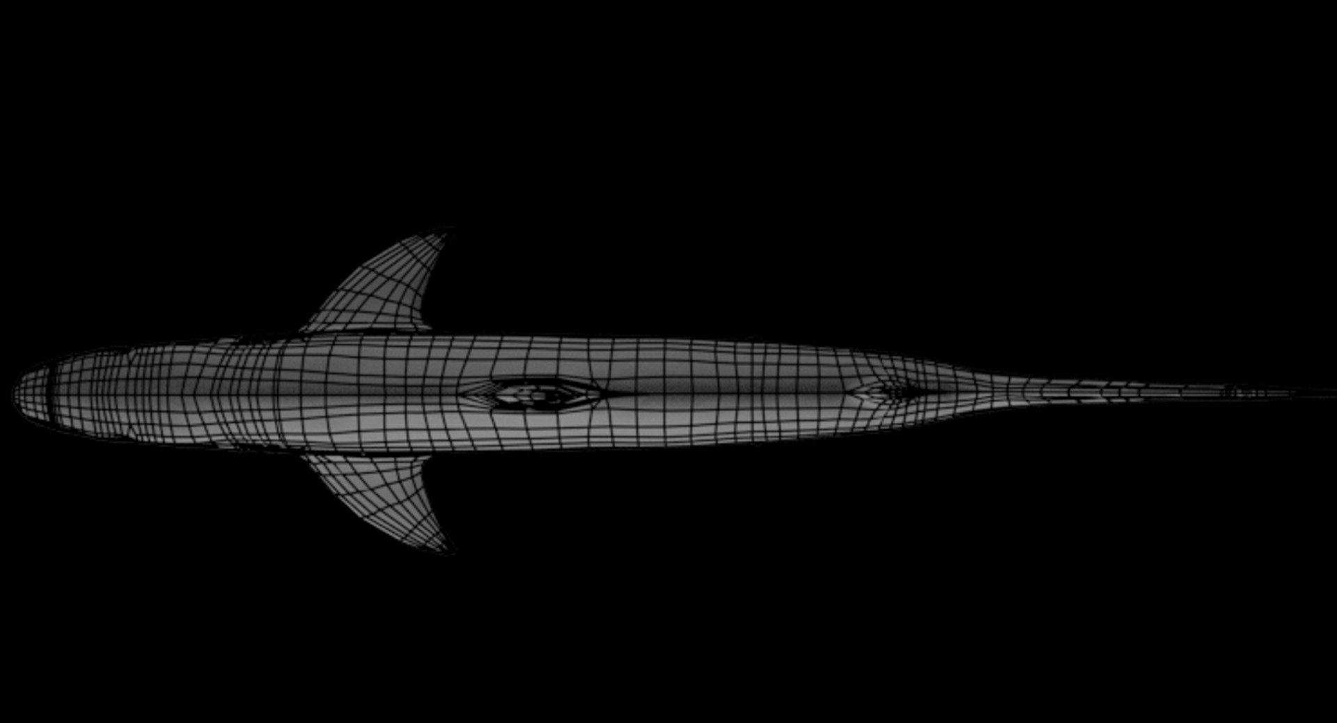 Blue shark 3D model - TurboSquid 1318702