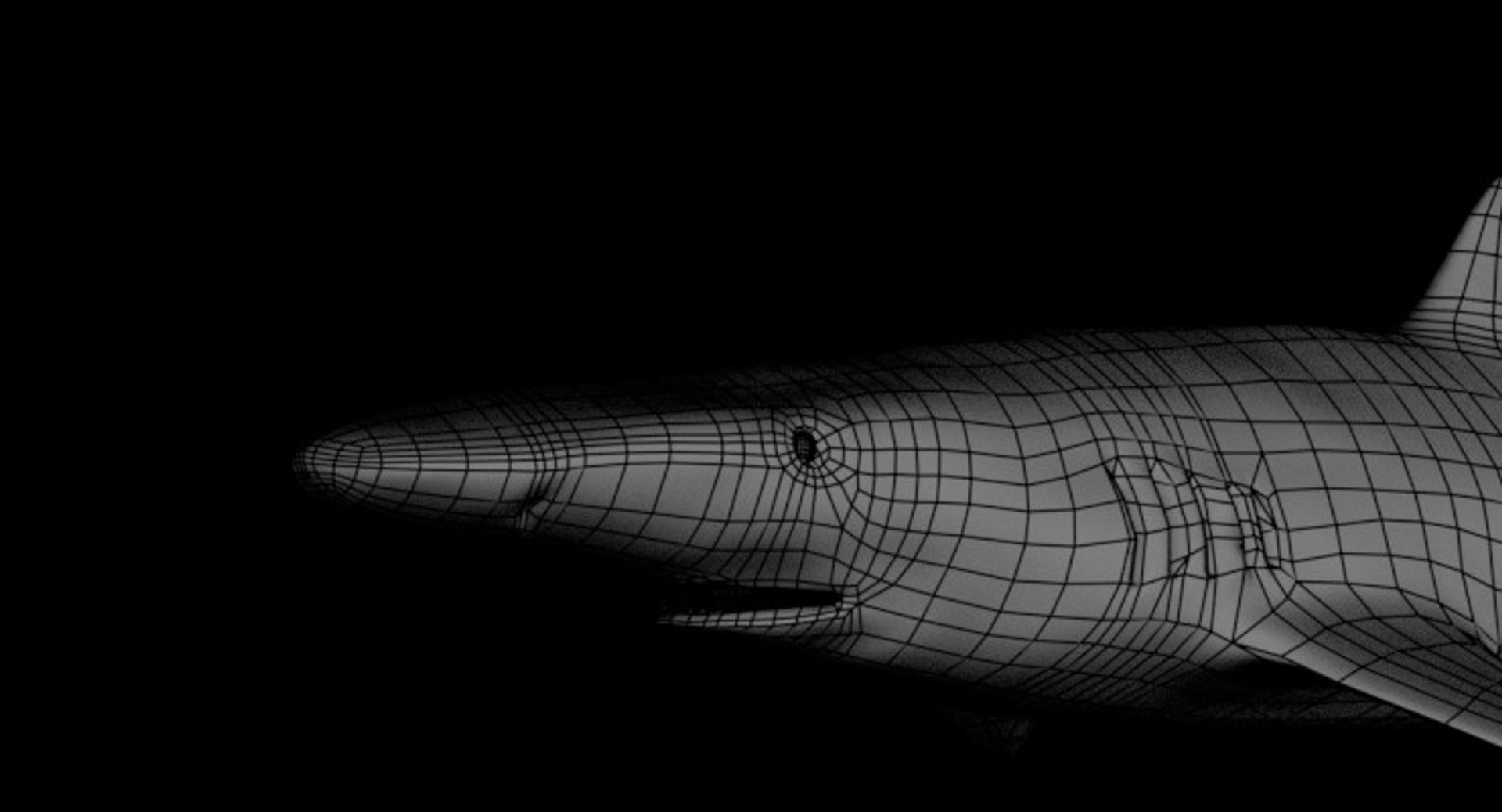 Blue shark 3D model - TurboSquid 1318702