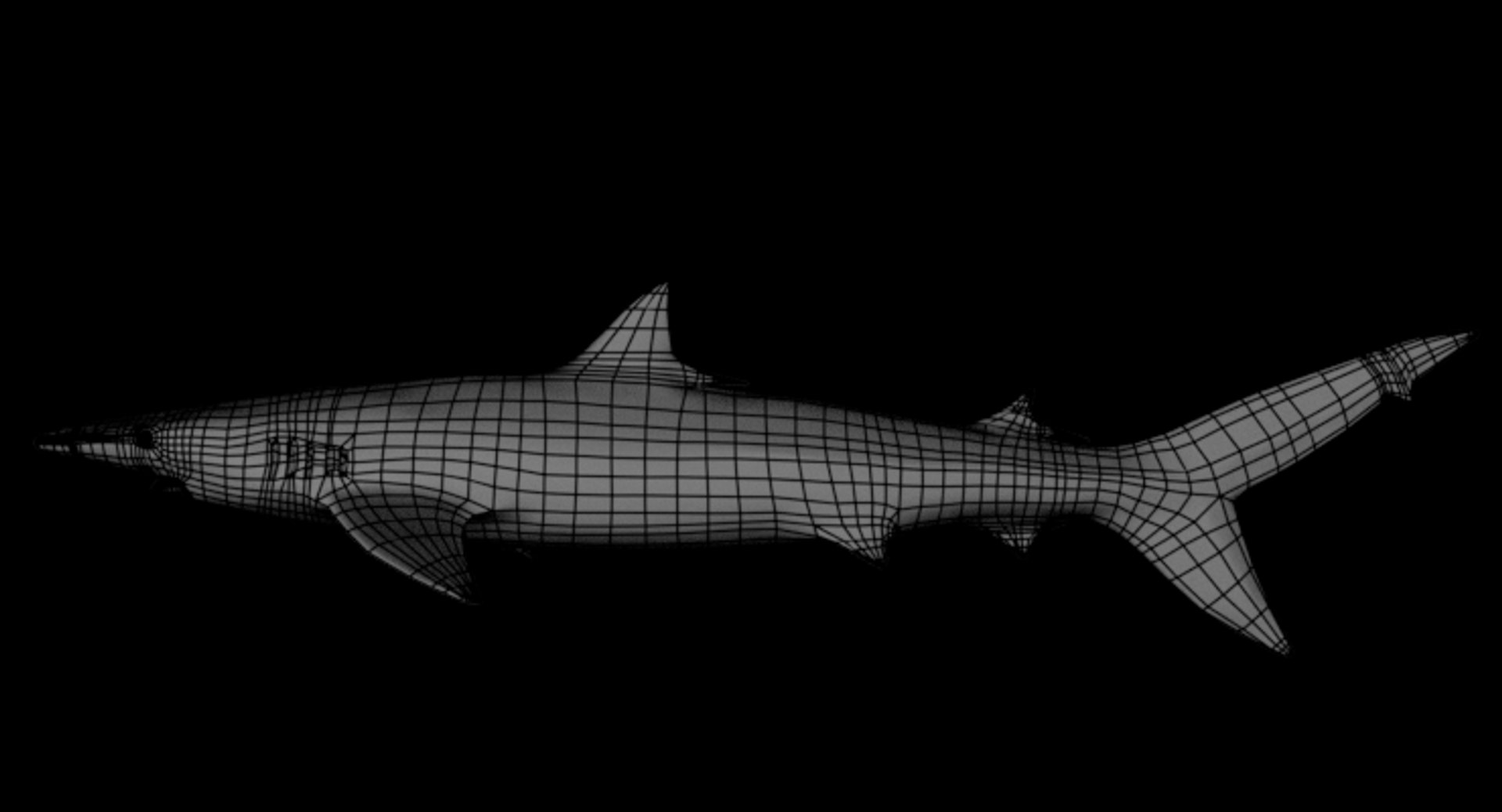 Blue shark 3D model - TurboSquid 1318702
