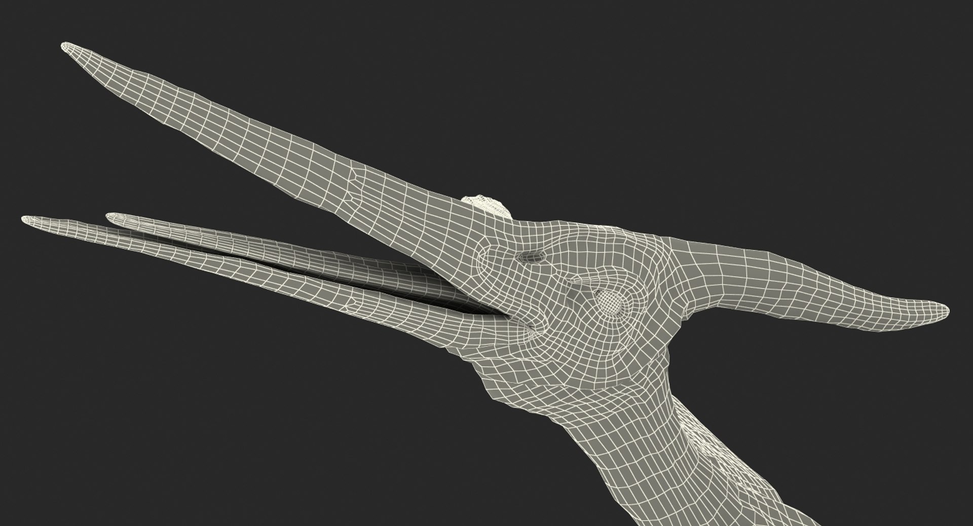 3D pteranodon flying carnivorous reptile model - TurboSquid 1435776