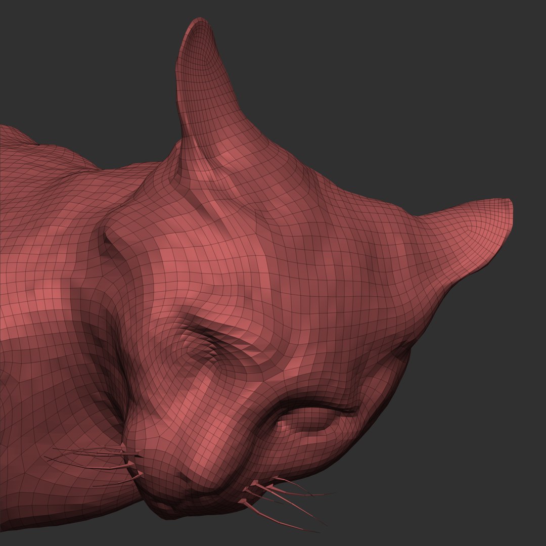 3D Lying Cat 43 Model - TurboSquid 2143700