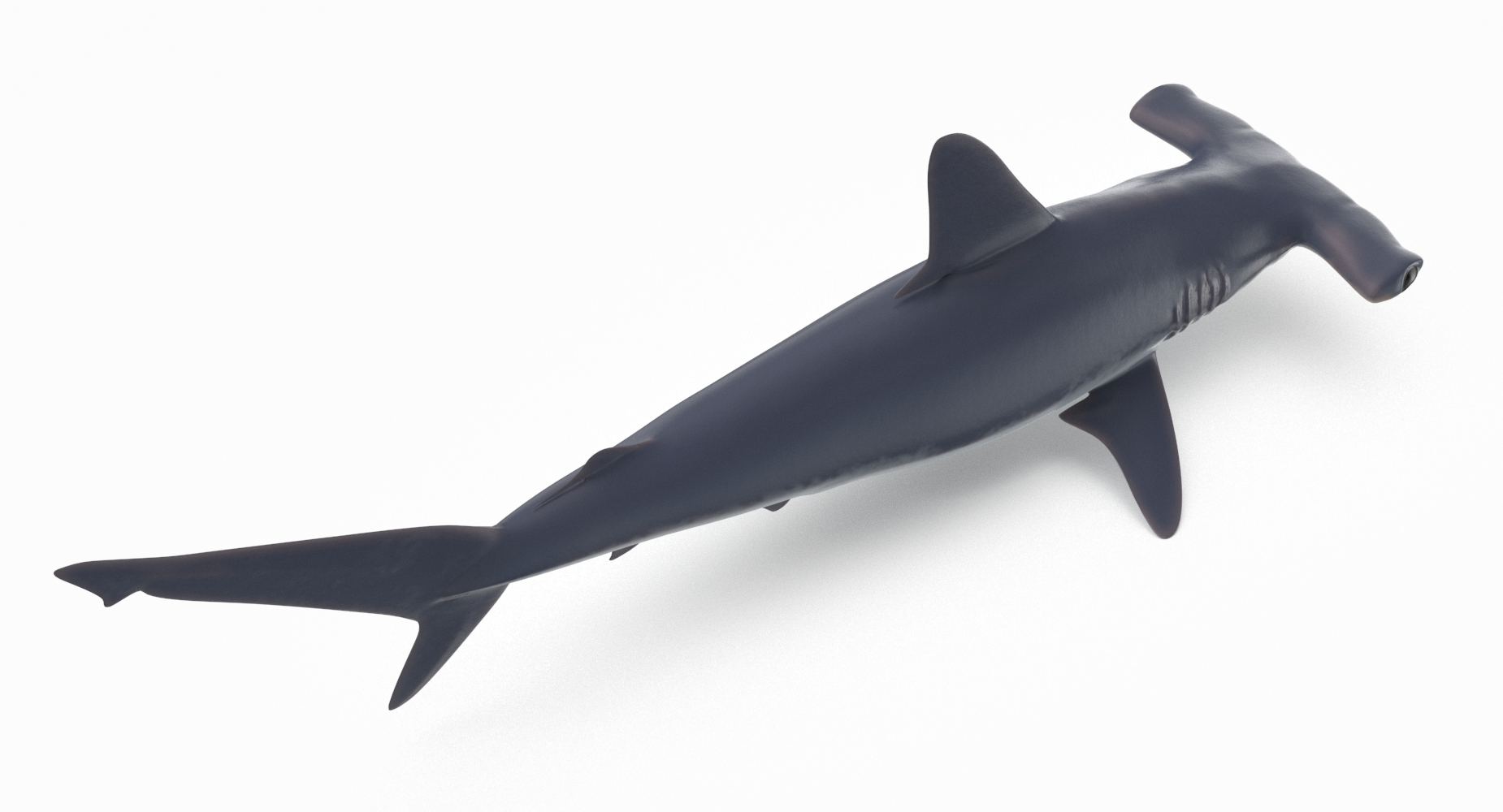 3D hammerhead shark - TurboSquid 1284622