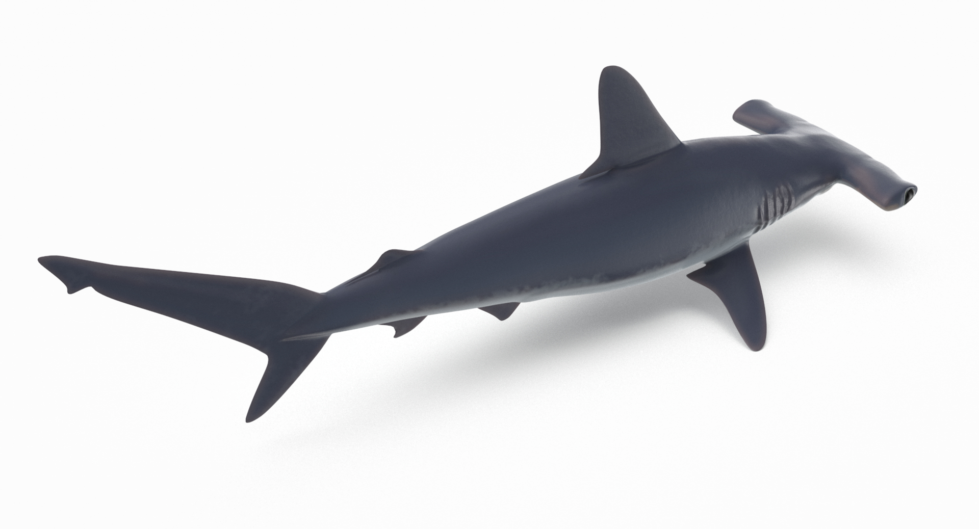 3D hammerhead shark - TurboSquid 1284622