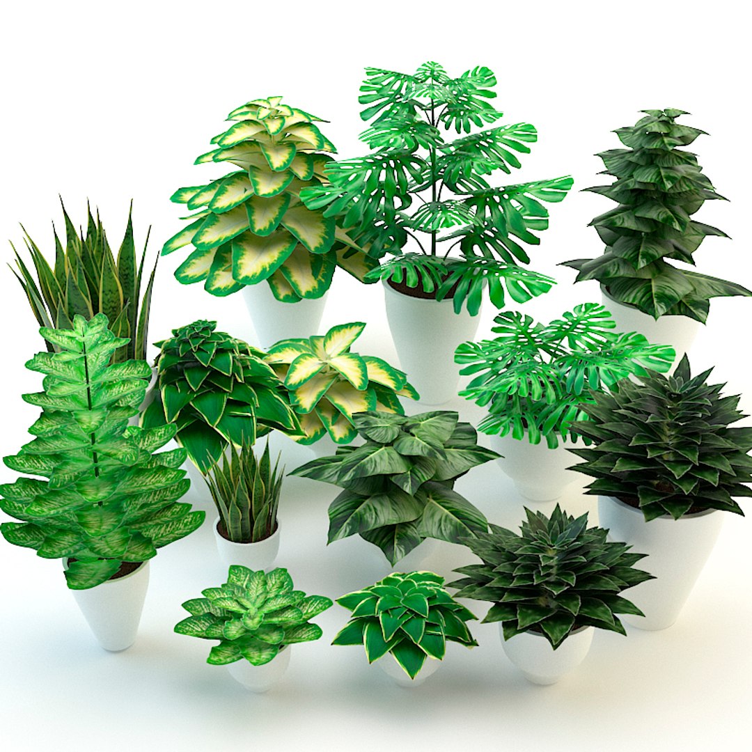 forest flowers plants set 3d max