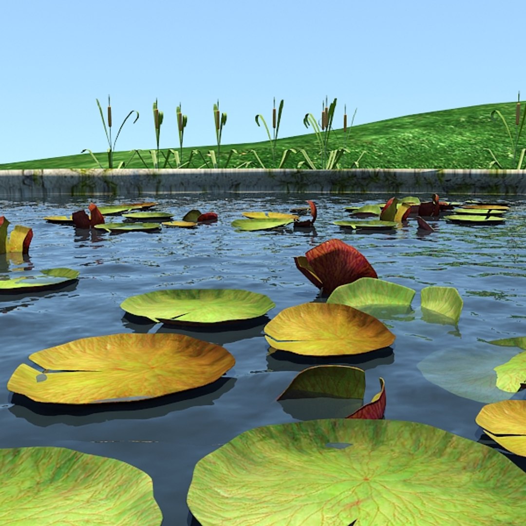 fishing pond 3d max