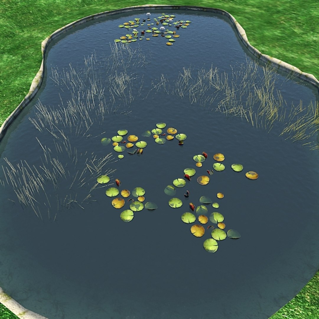 fishing pond 3d max