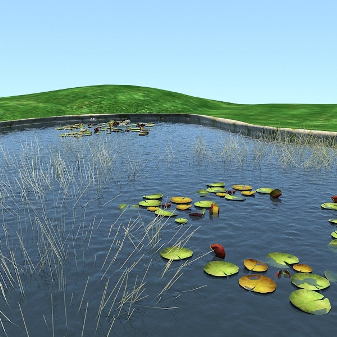 fishing pond 3d max