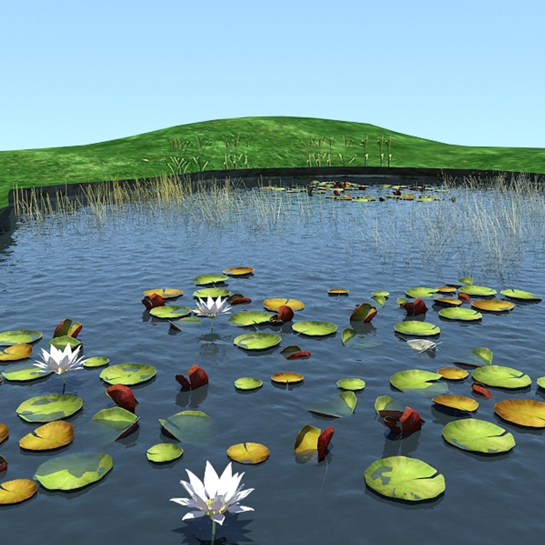 fishing pond 3d max