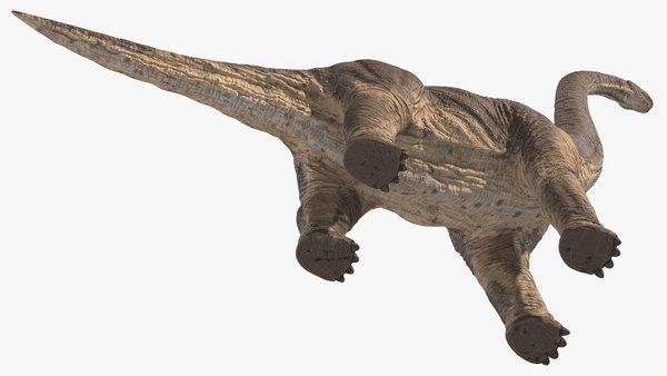 3D brachiosaurus standing pose model - TurboSquid 1628608