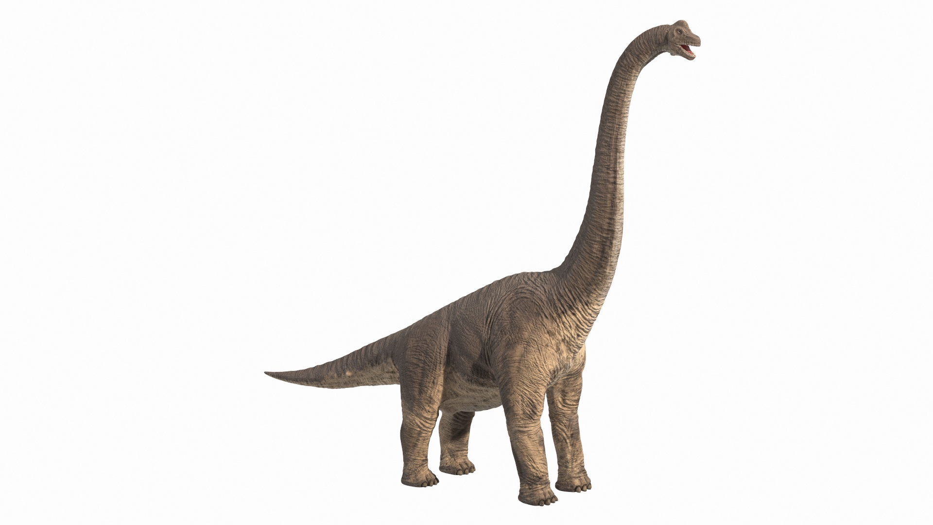 3D Brachiosaurus Standing Pose Model - TurboSquid 1628608