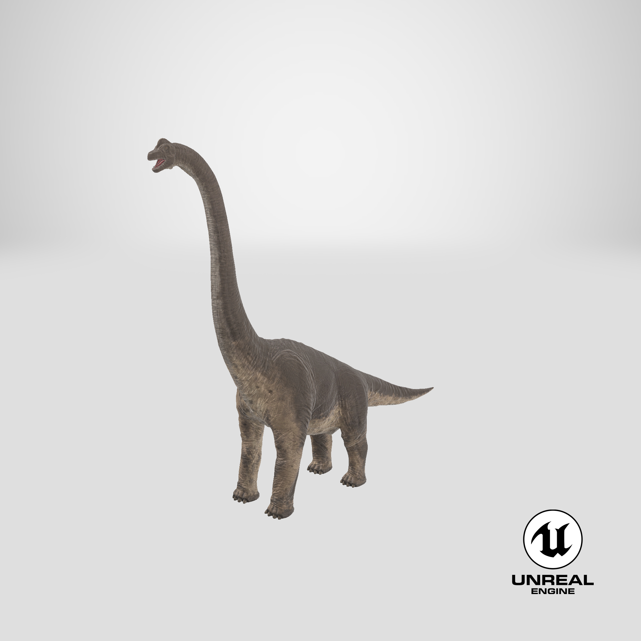 3D brachiosaurus standing pose model - TurboSquid 1628608
